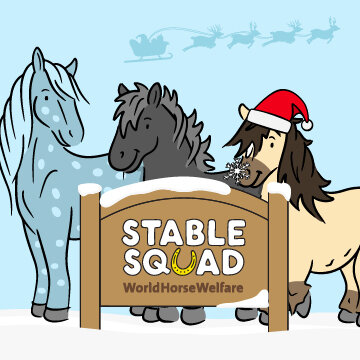 World Horse Welfare online shop