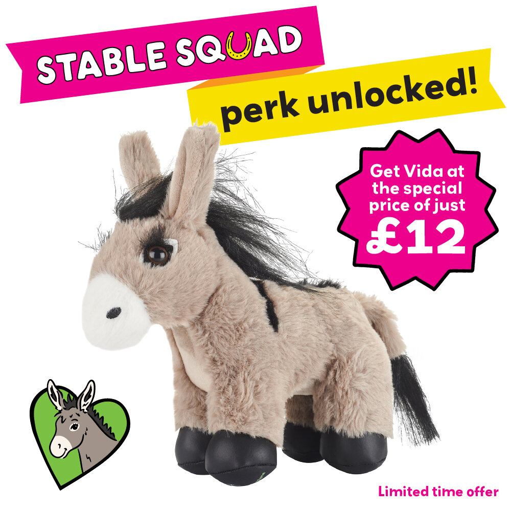 Stable Squad