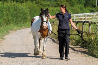 Research - World Horse Welfare
