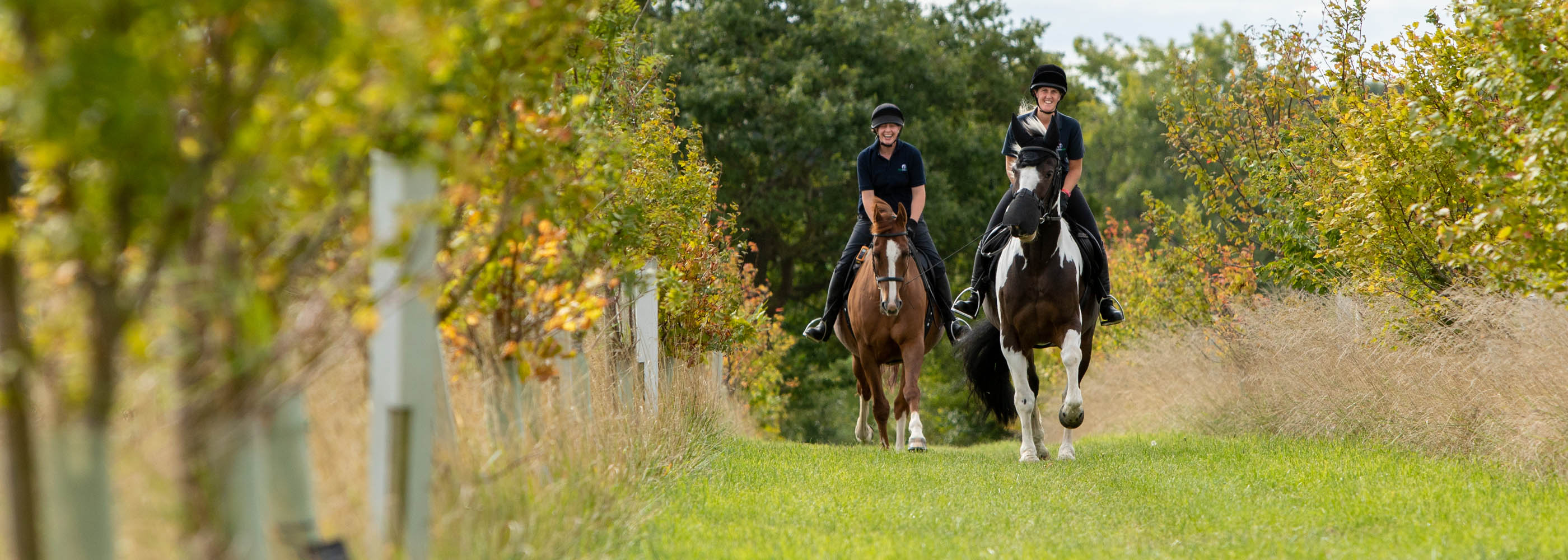 Visit Penny Farm - World Horse Welfare