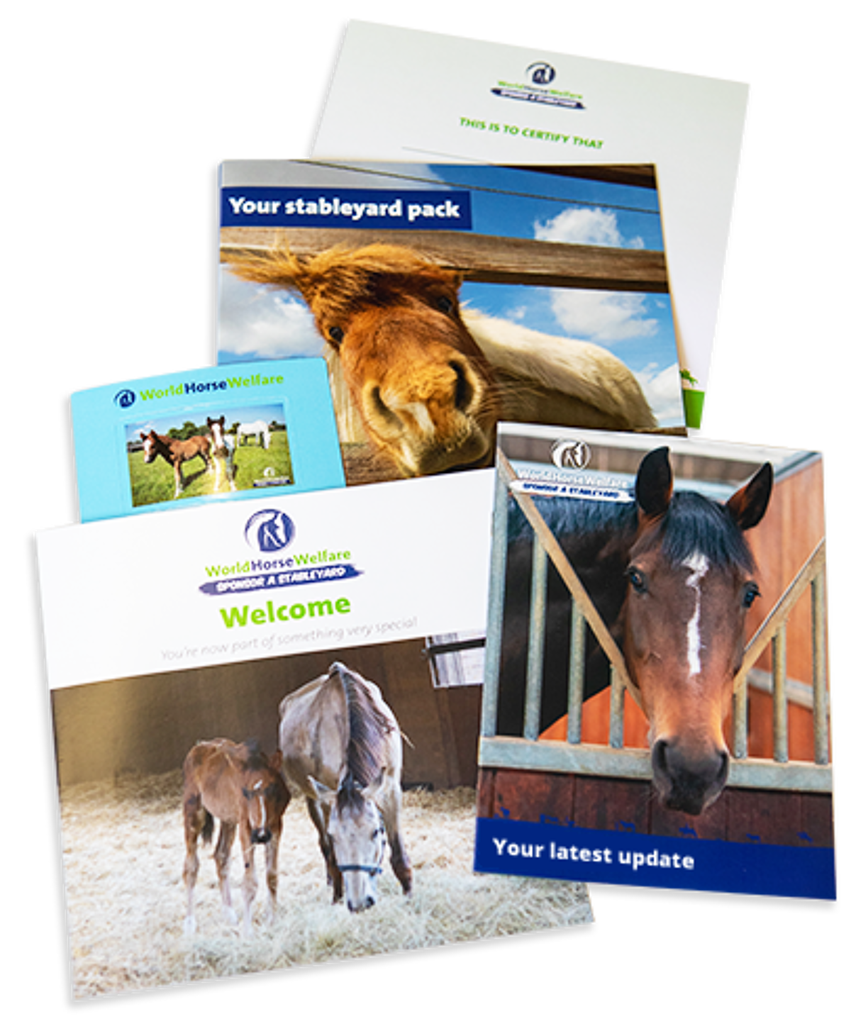 Penny Farm - World Horse Welfare