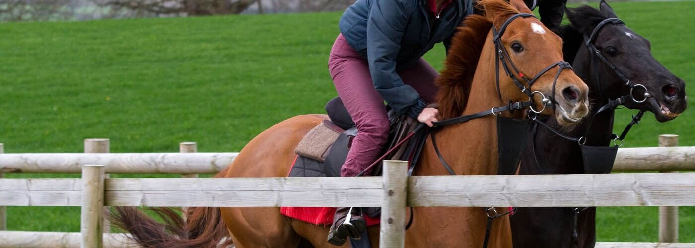 Use of the whip in racing - World Horse Welfare