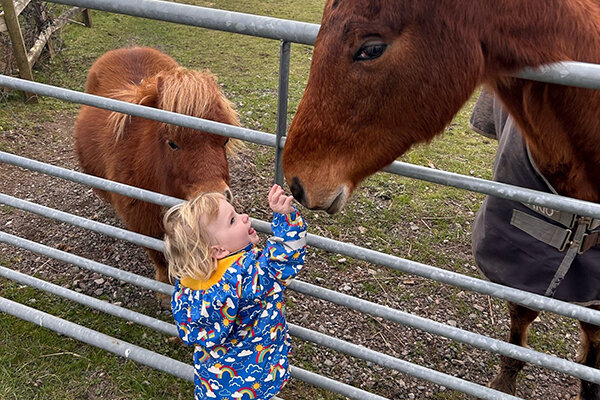 Glenda Spooner Farm - World Horse Welfare