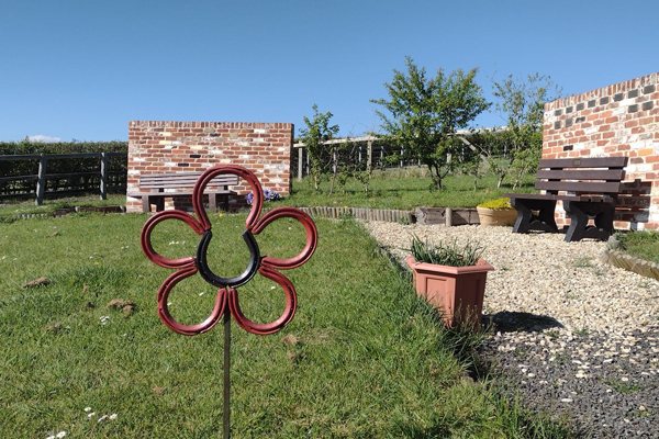 Glenda Spooner Farm - World Horse Welfare