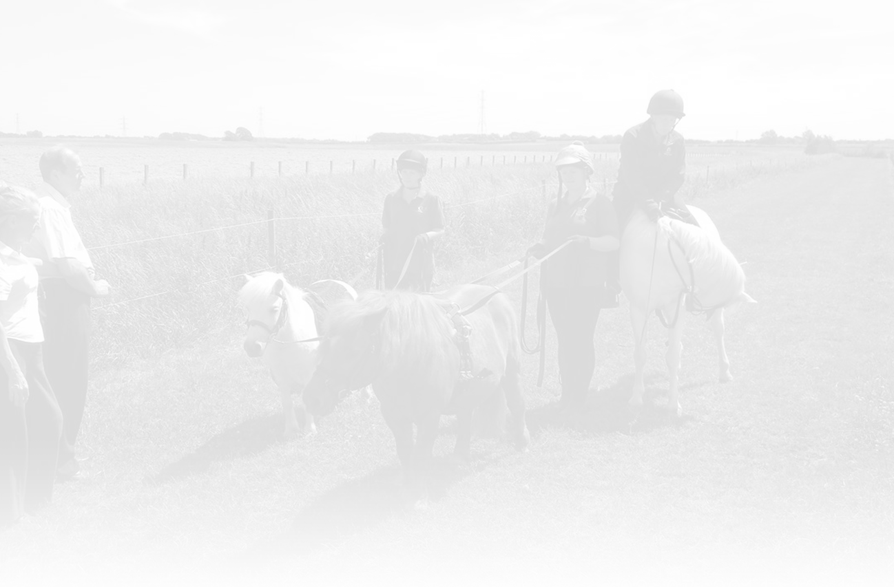 Penny Farm - World Horse Welfare