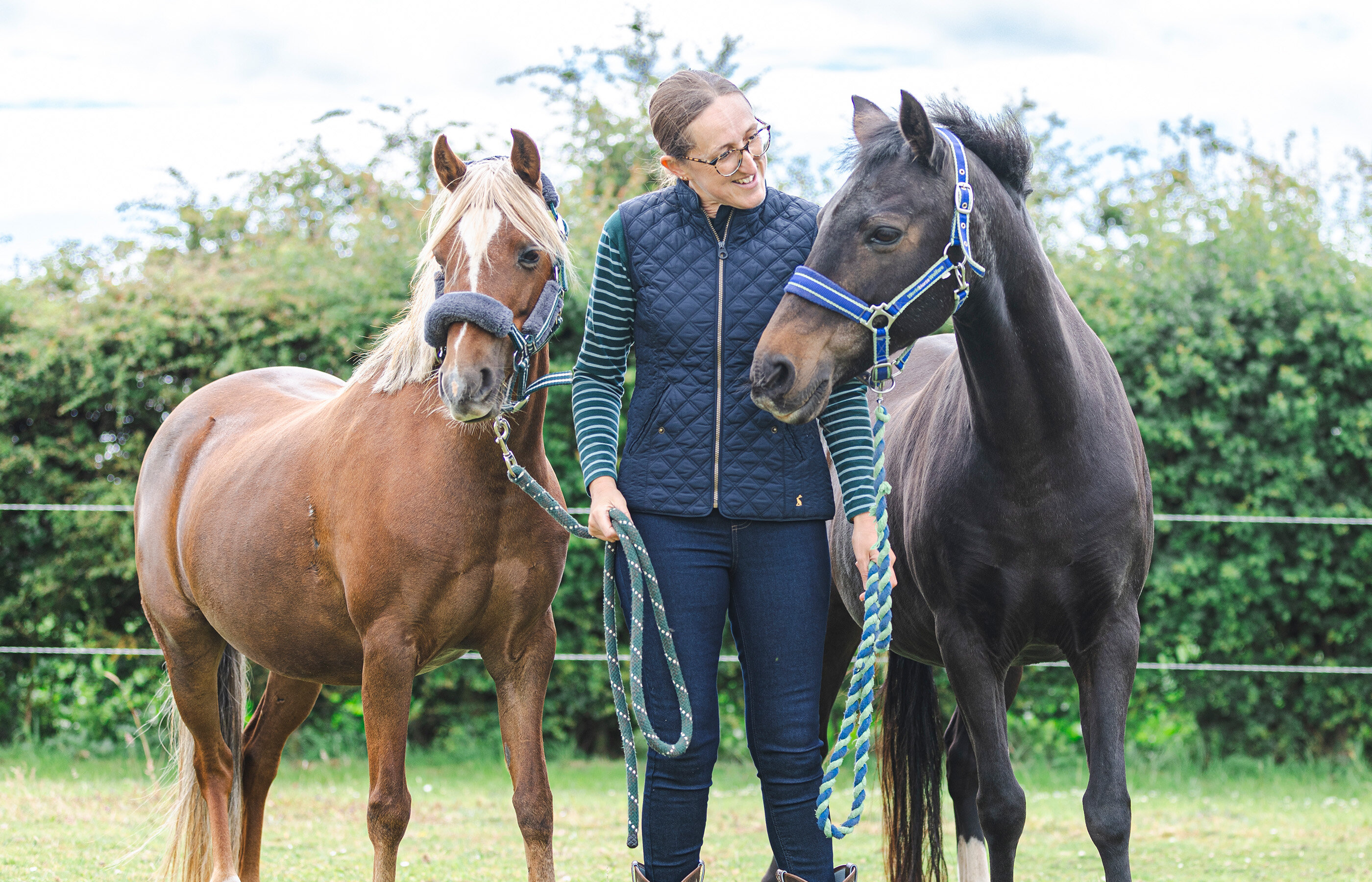 Tendon and ligament injuries in horses - World Horse Welfare