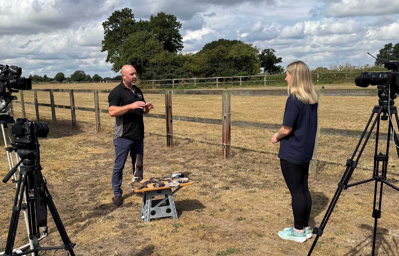 Exploring hoof balance, daily foot care, and remedial farriery - World ...