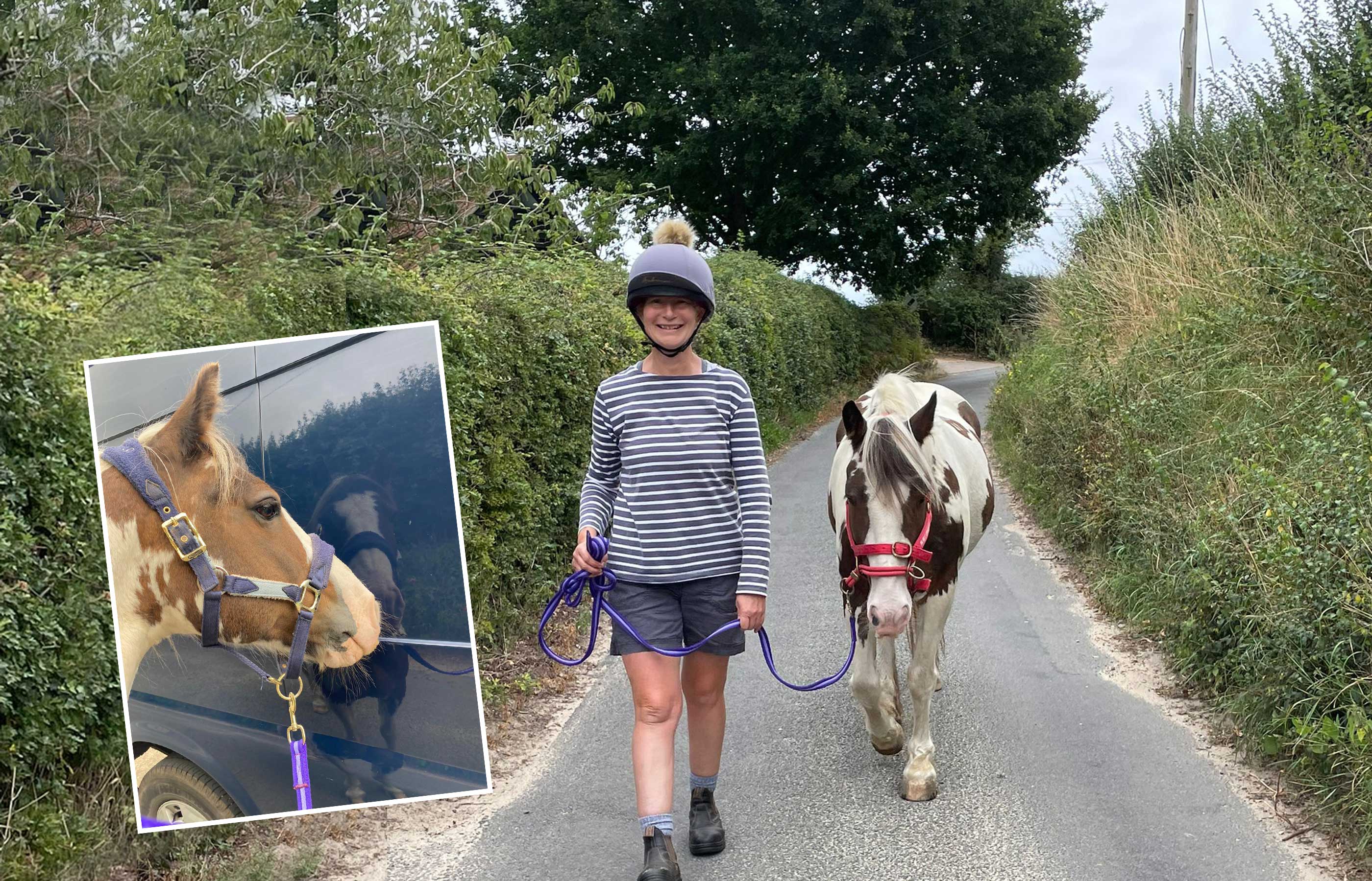 Life beyond rescue: Hubble and Scarlet - World Horse Welfare